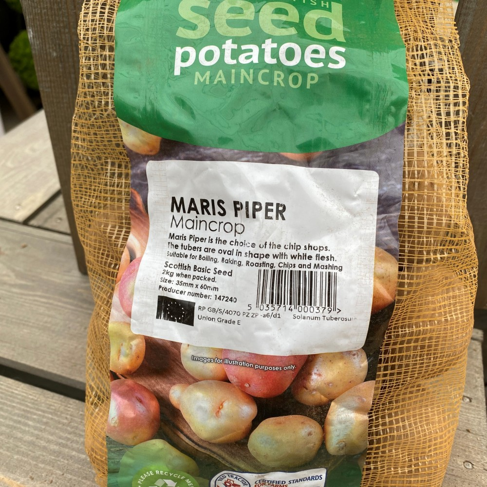Potato Maincrop Maris Piper | Barn Farm Plants