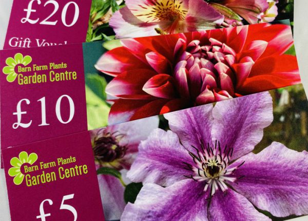 Gift Vouchers - Barn Farm Plants Garden Centre